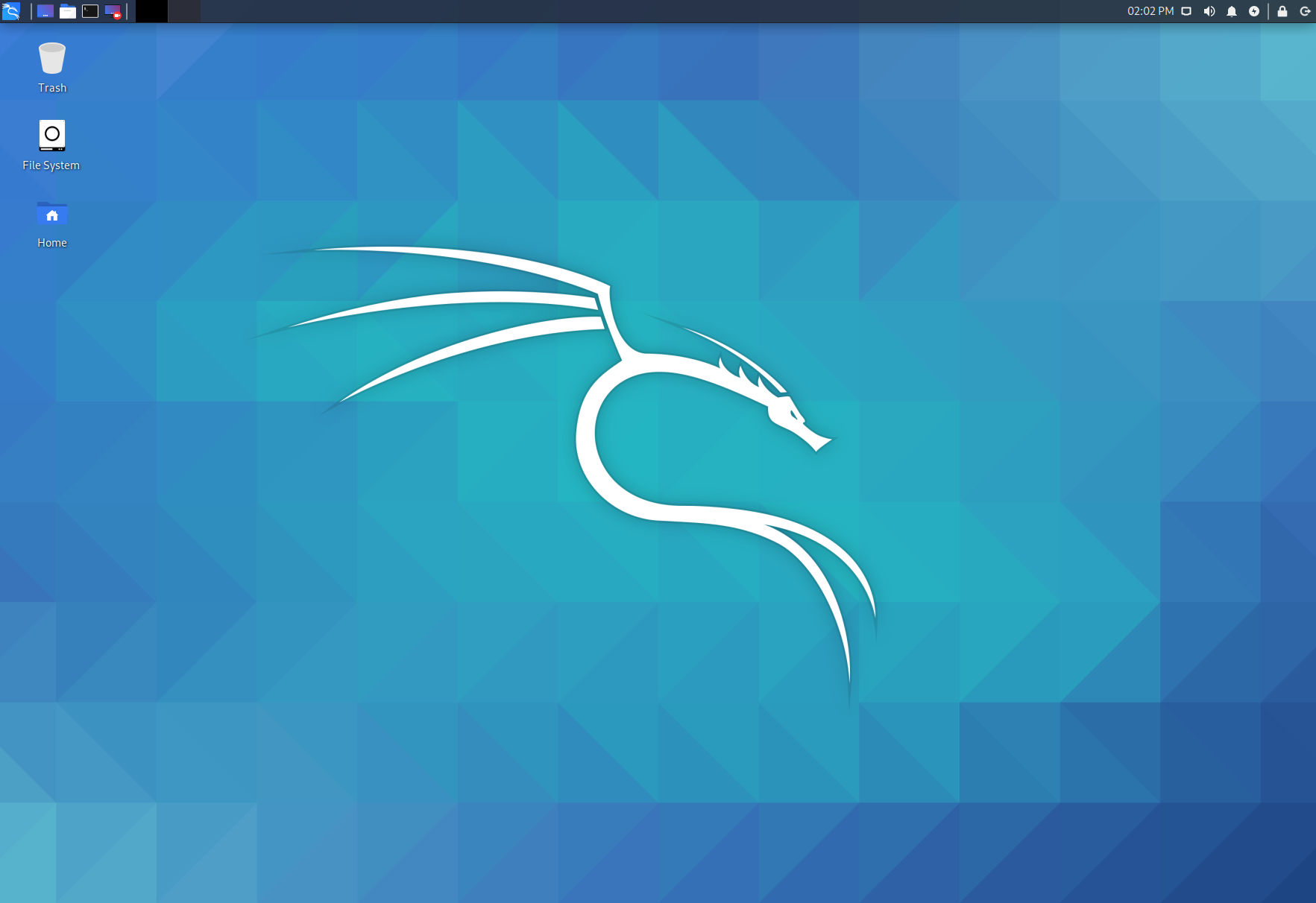 kali Linux 2020.2安装失败（绕坑指南）_kali安裝步驟失敗-CSDN博客