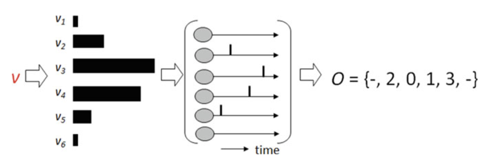 SNN系列｜编码篇(2)时序编码_rank order coding-CSDN博客