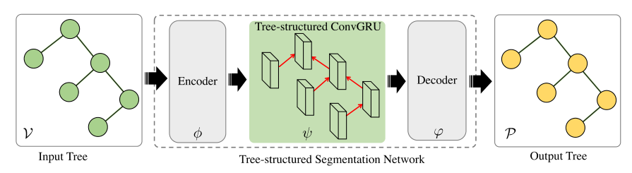 论文分享 Learning tree-structured representation for 3D coronary artery segmentation_learning tree ...