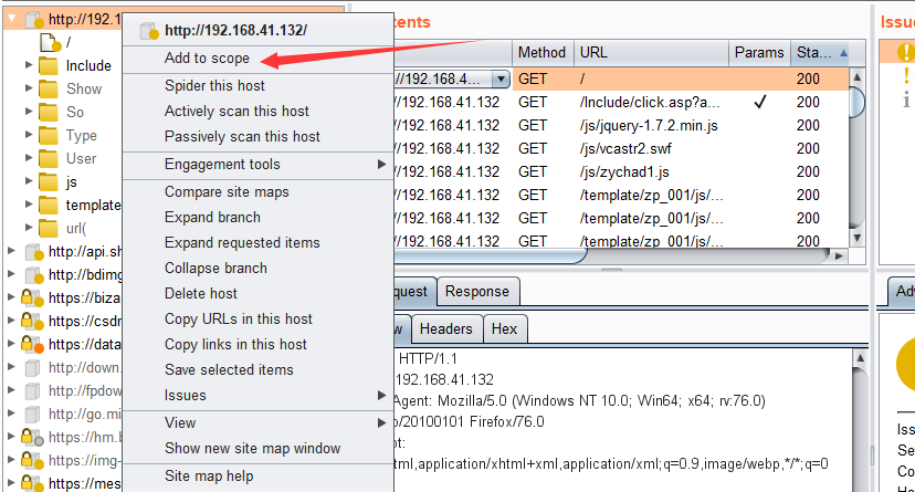 Burp Suite之Target模块学习篇_configure target details-CSDN博客