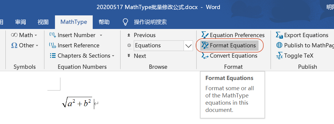 如何批量修改MathType公式格式_mathtype格式刷-CSDN博客