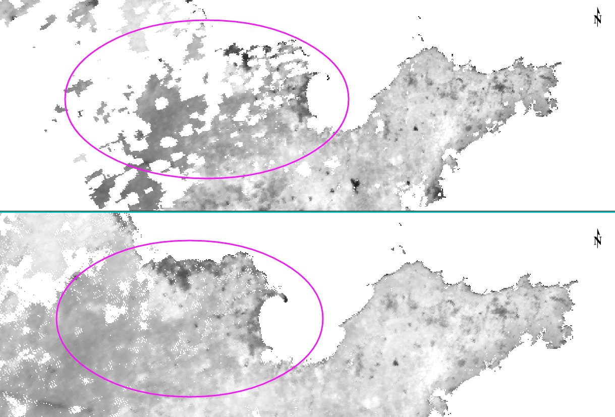 MODIS产品质量控制文件使用方法_mctk如何进行批处理-CSDN博客