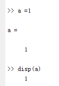 matlab中disp，fprintf的使用_打印矩阵disp-CSDN博客