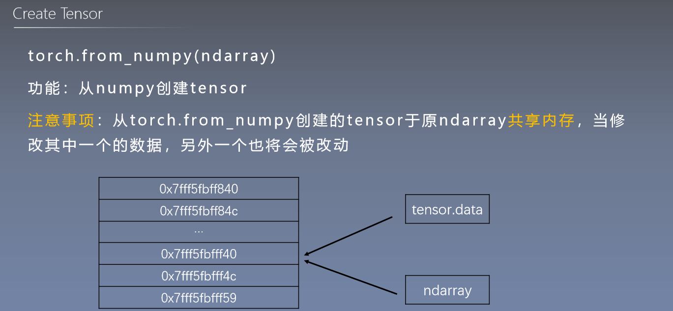 Pytorch系列入门到精通——张量简介及创建学会精通pytorch Csdn博客 