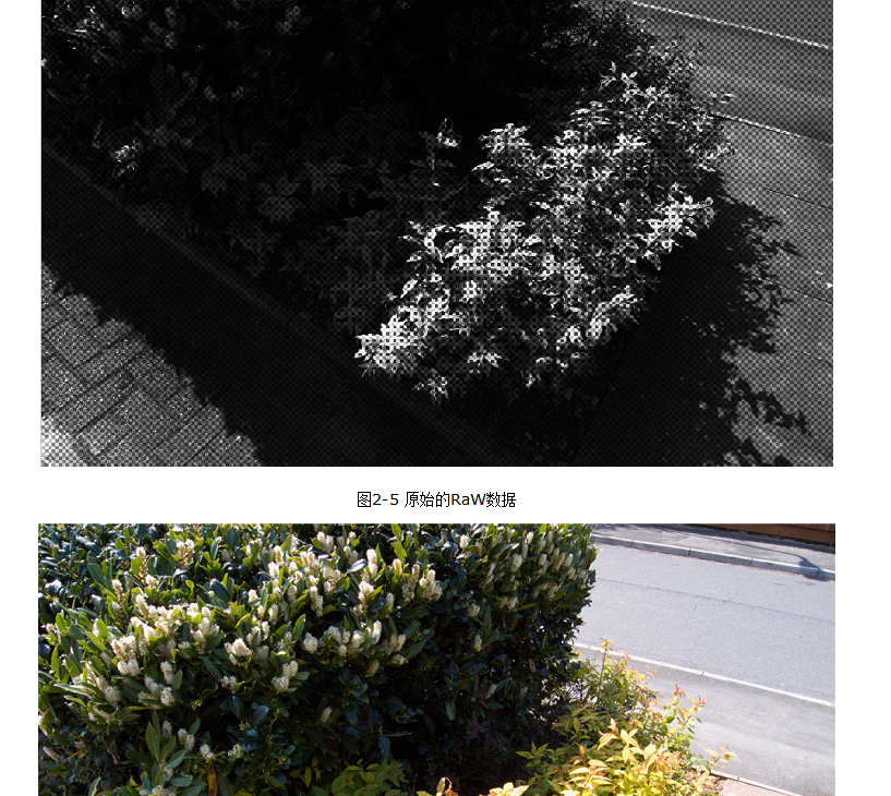 DNG格式解析_dng exif信息-CSDN博客