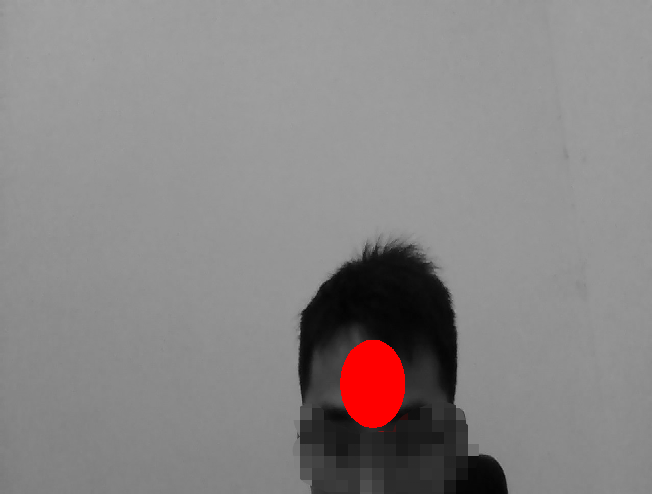 C# 联合halcon读取摄像头时 报Invalid handle type in operator grab_image_async 错误 - 程序员大本营