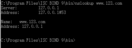 windows10个人版使用ntbind搭建dns服务-CSDN博客