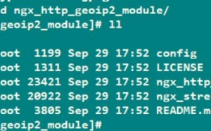 NGINX：nginx精准禁止特定国家或者地区IP访问_ngix 禁止国内ip-CSDN博客