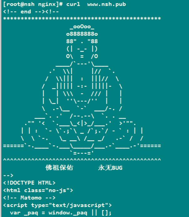 NGINX：nginx精准禁止特定国家或者地区IP访问_ngix 禁止国内ip-CSDN博客