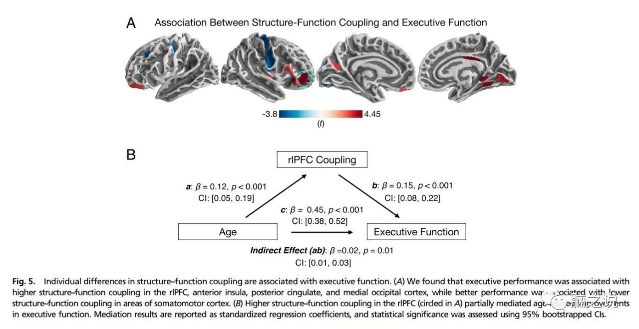 PNAS：青少年大脑网络的结构-功能耦合关系的发育状况_结构功能连接耦合-CSDN博客