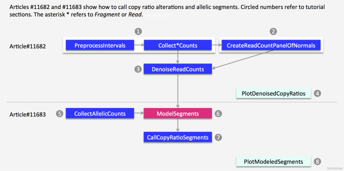 09 拷贝数变异分析（GATK流程）_gatk cnv-CSDN博客