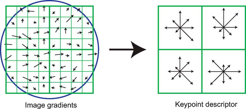 论文笔记:distinctive Image Features From Scale Invariant Keypoints Csdn博客