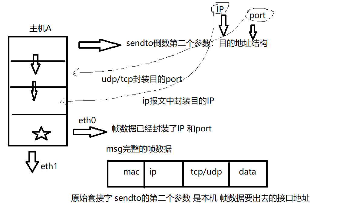 原始套接（ARP协议的使用）_raw socket sendto arp-CSDN博客