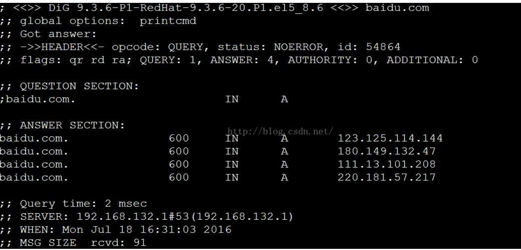 Linux 中 dig 命令返回结果解释_dig命令flag详解-CSDN博客