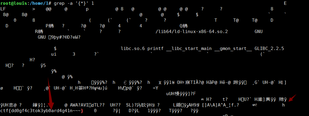 CTF-misc-----buuctf-FLAG_buuctf flag-CSDN博客