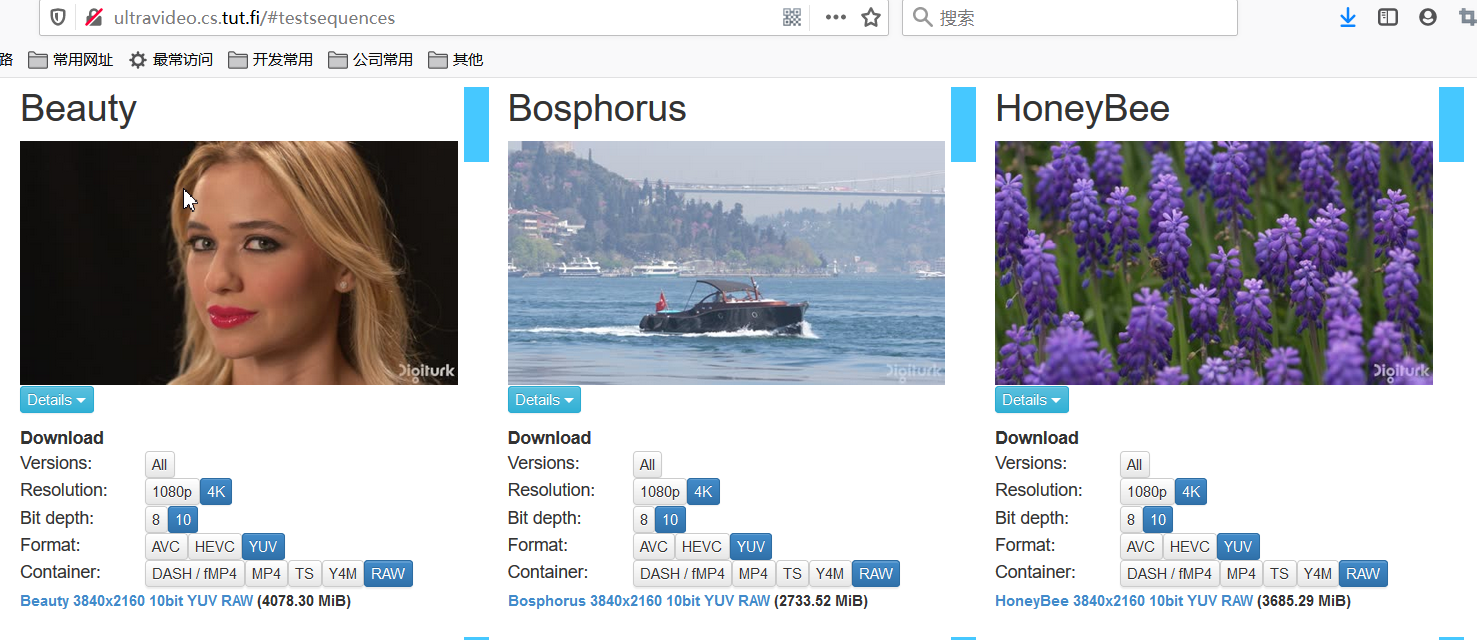 流媒体（视频）开发常用调试工具_mp4info.exe-CSDN博客