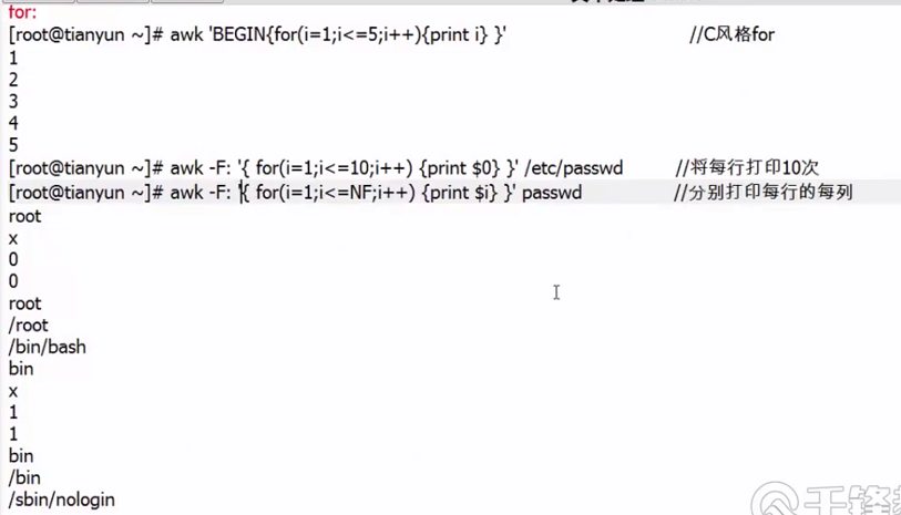 60. AWK脚本编程- if/while/for_awk for循环嵌套if-CSDN博客