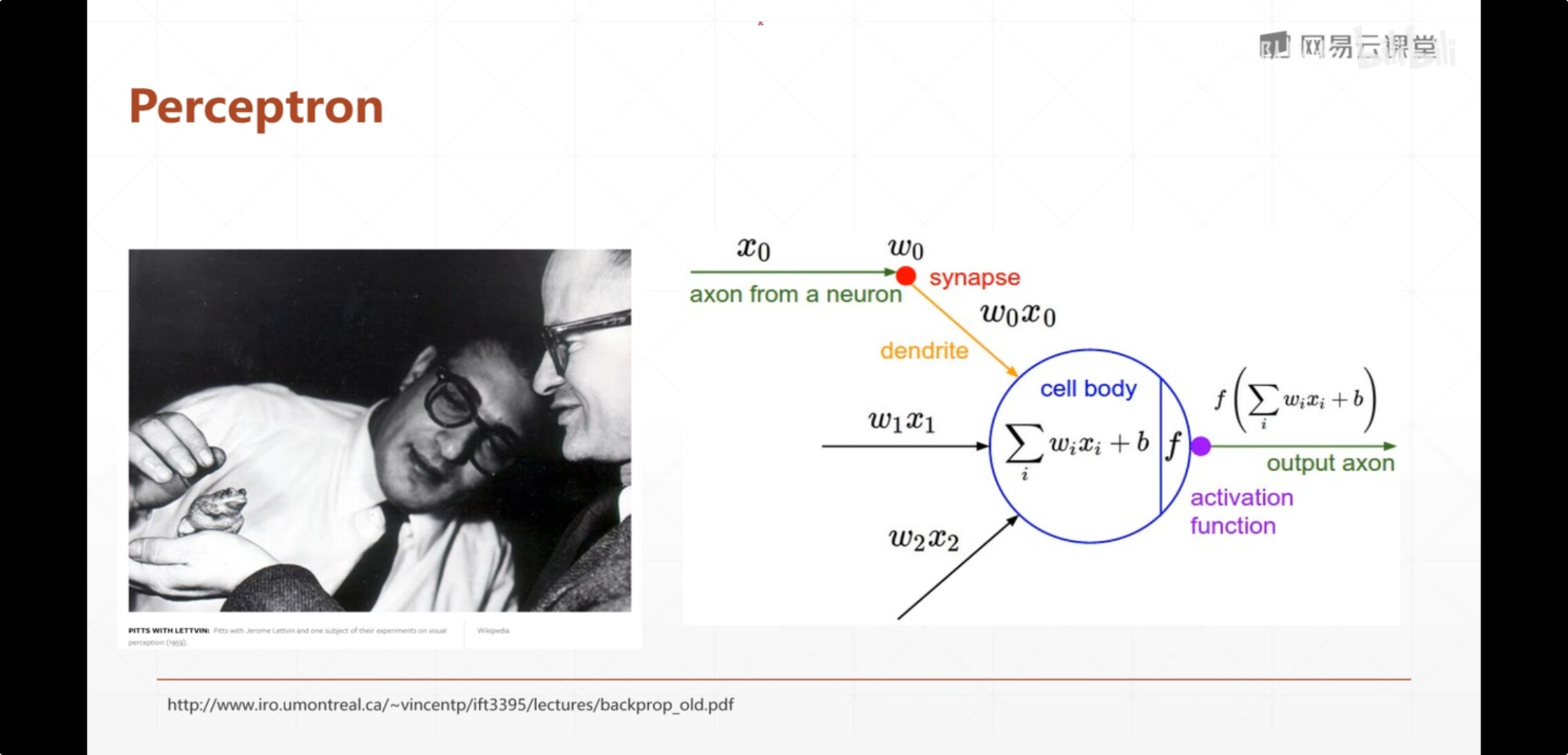 [024] 深度学习--学习笔记（3） 深度学习的发展历程和关键论文（附下载链接）_learning representations by back-propagating error-CSDN博客