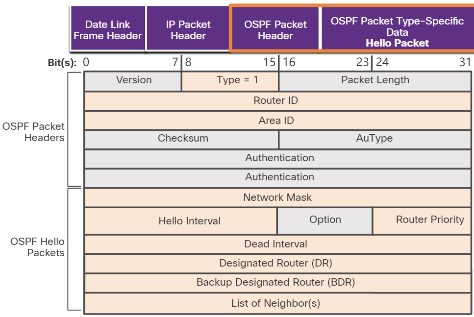 OSPF报文类型及格式详解_ospfv2报文格式-CSDN博客