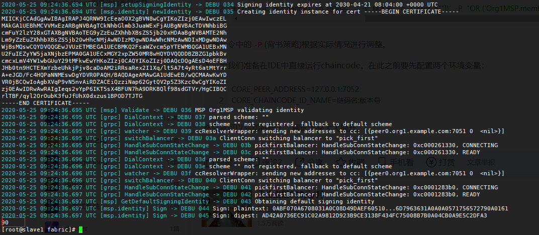 fabric 链码本地开发调试 debug_fabric的debug-CSDN博客