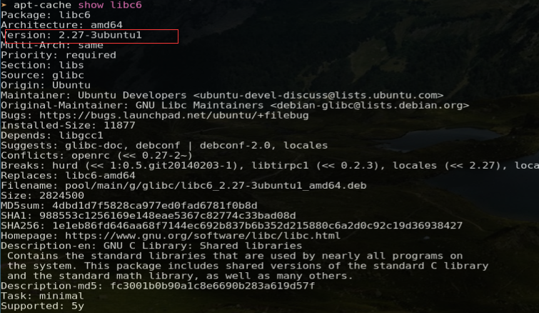什么是libc与glibc？_glibc是干嘛的-CSDN博客