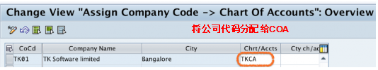 SAP FICO - Chart of Accounts(COA) 会计科目表/ 将公司代码分配给会计科目表_sap 分配科目图表-CSDN博客