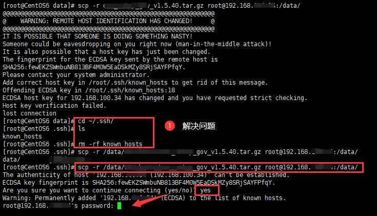 scp 返回值告警问题解决过程_如何修改scp的返回结果-CSDN博客
