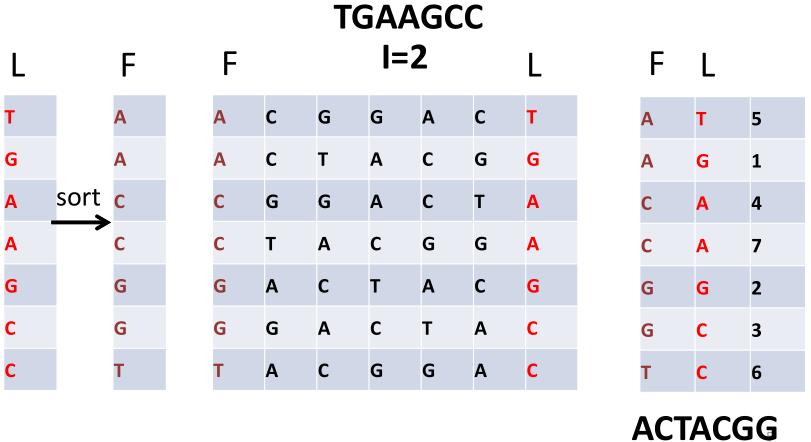 北京大学生物信息学-第五周-新一代测序(NGS) 回帖 BWT算法_将测序得到的短片段在回帖到基因组上,这个过程也被称为mapping。-CSDN博客