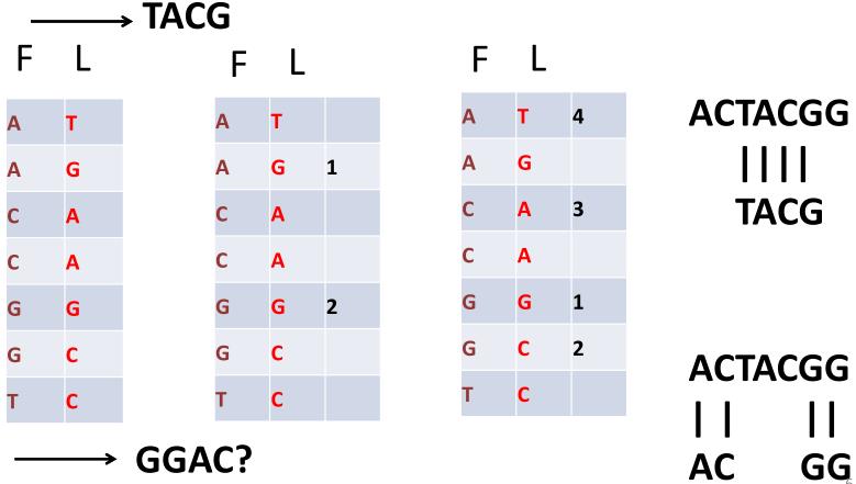 北京大学生物信息学-第五周-新一代测序(NGS) 回帖 BWT算法_将测序得到的短片段在回帖到基因组上,这个过程也被称为mapping。-CSDN博客