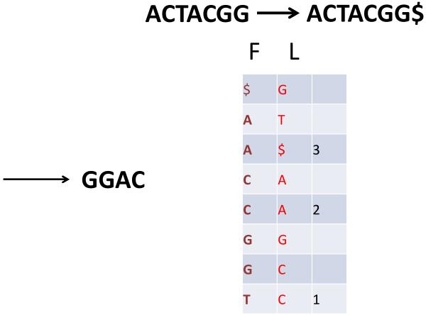 北京大学生物信息学-第五周-新一代测序(NGS) 回帖 BWT算法_将测序得到的短片段在回帖到基因组上,这个过程也被称为mapping。-CSDN博客