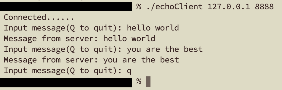 socket编程入门实践——基于TCP的echo服务器/客户端_基于tcp的echo csapp-CSDN博客