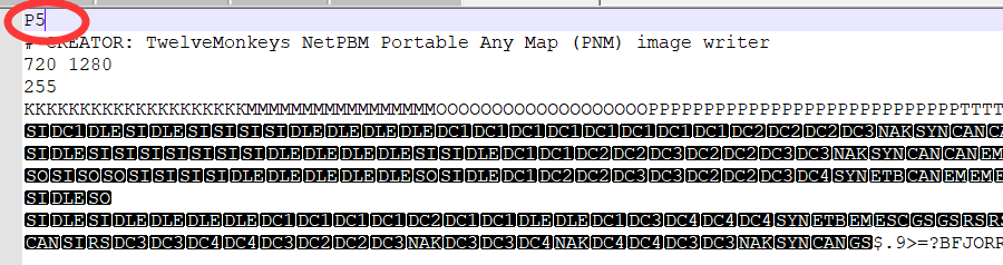 java JPG等图片格式转成PGM_转换为pgm-CSDN博客