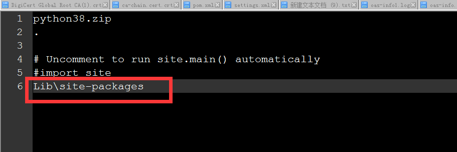 使用 embed-amd64 zip 使用压缩包解压的方式安装python_embed-amd64.zip-CSDN博客