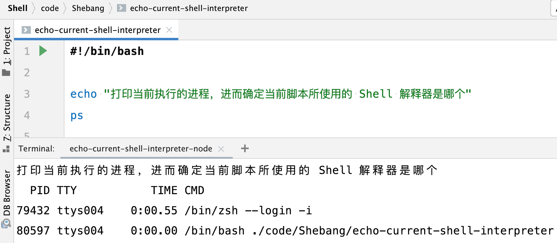 Shebang #!_#!shebang-CSDN博客