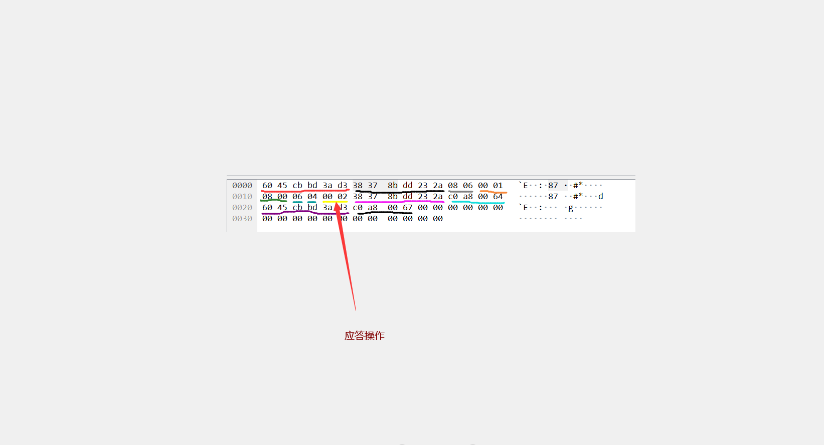 使用wireshark分析ARP协议_wireshark中arp报文分析-CSDN博客