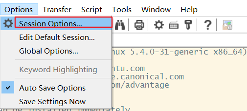 【Tools】SecureCRT8连接Ubuntu详细教程_ubuntu securecrt 8-CSDN博客