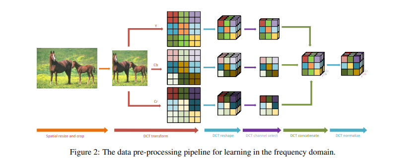 【CVPR2020】网络结构：GhostNet/频域卷积/Pi-Net_计算机cvpr领域好看的网络结构图-CSDN博客