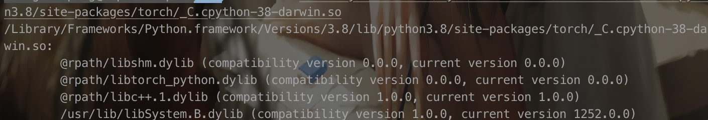 ImportError: dlopen(/Library/Frameworks/Python.framework/Versions/3.8/lib/python3.8/site ...