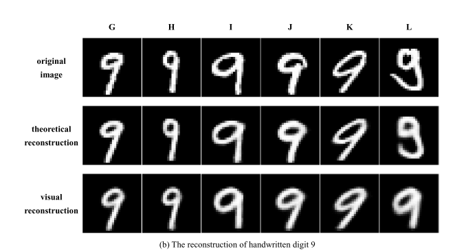 Accurate reconstruction of image stimuli from human fMRI based ... 翻译 ...