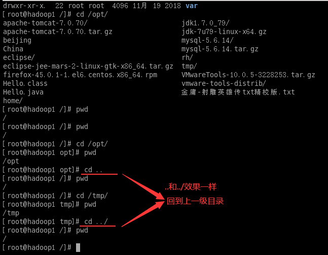 Linux相对路径与绝对路径_用相对路径和绝对路径的方法从主目录进入子目录-CSDN博客