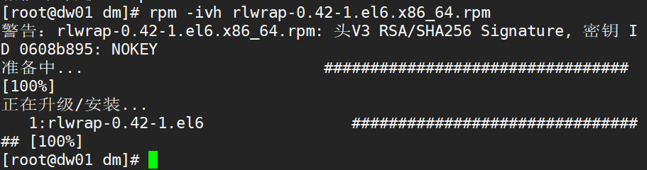 rlwrap工具，解决达梦disql或oracle的sqlplus不能使用上下翻和删除键命令_达梦disql 不能使用上下翻和删除键命令-CSDN博客