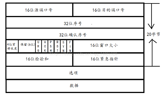 浅析TCP协议中URG和PSH的区别与联系_tcp urg-CSDN博客