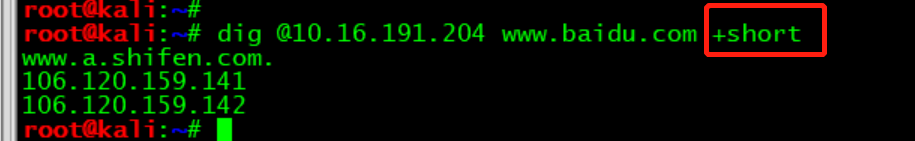 DNS篇之dig使用详解_dig dns-CSDN博客