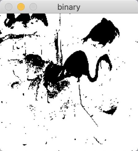 Opencv：图像二值化 cv2.threshold()_ret, binary = cv2.threshold()-CSDN博客