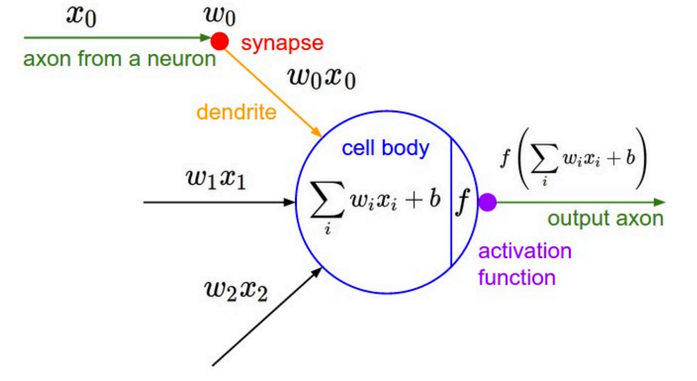 【深度学习】由人工神经网络（DNN）到卷积神经网络（CNN）_dnn网络结构和cnn-CSDN博客