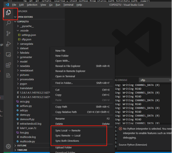 VScode远程调试代码及github同步更新（最全没有之一）_vscode更新gitlab的最新代码-CSDN博客