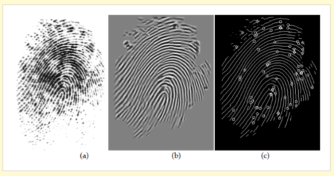 Fingerprint Recognition_fingerprint recognition library-CSDN博客