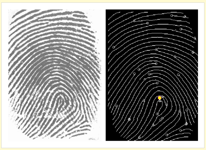 Fingerprint Recognition_fingerprint recognition library-CSDN博客