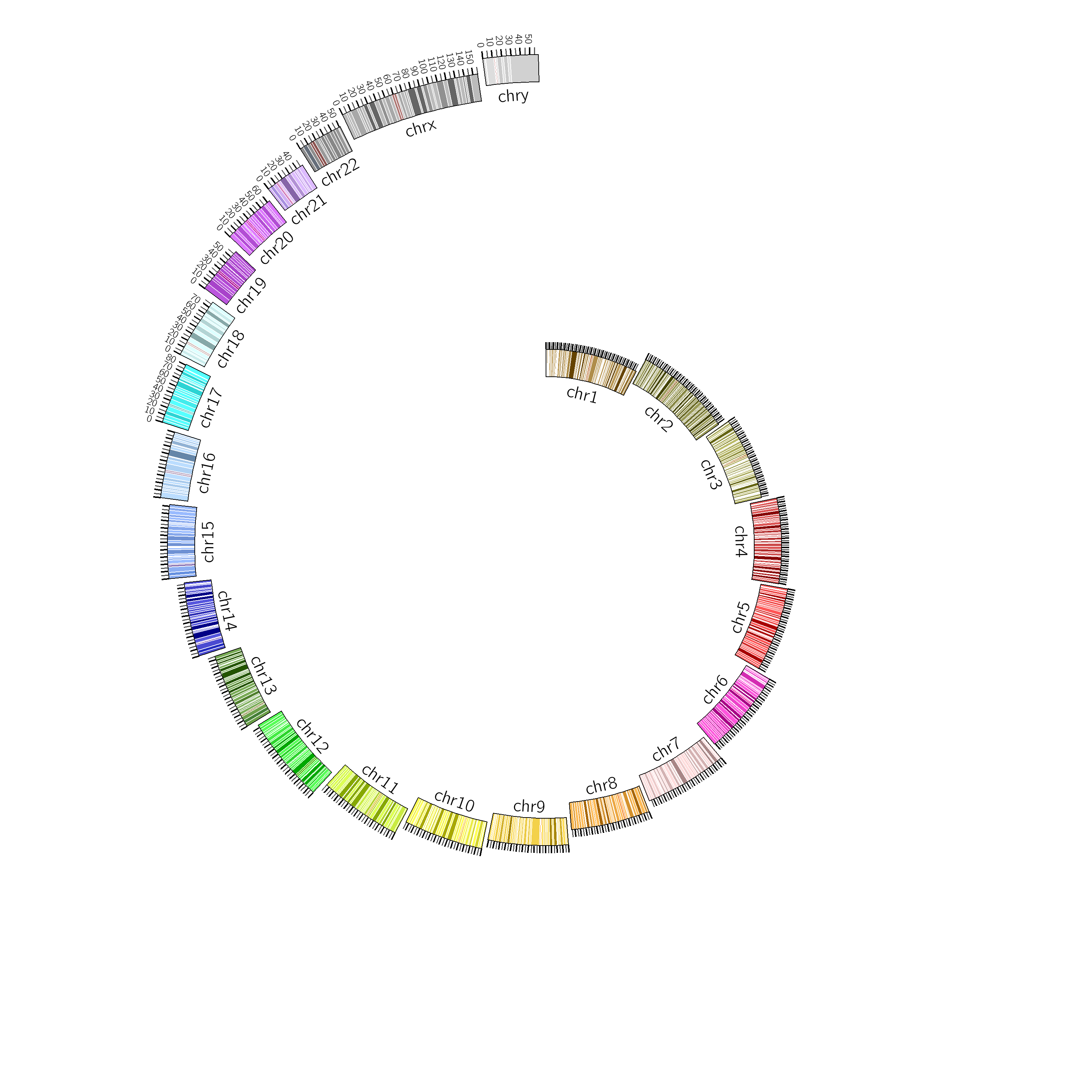 circos 染色体进阶技巧_circos函数 染色体定位 标签颜色-CSDN博客