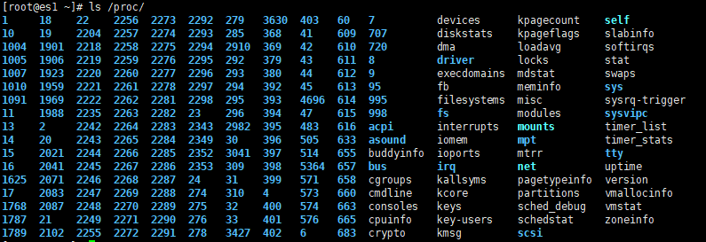 Linux---/proc目录全讲解_proc目录详解-CSDN博客